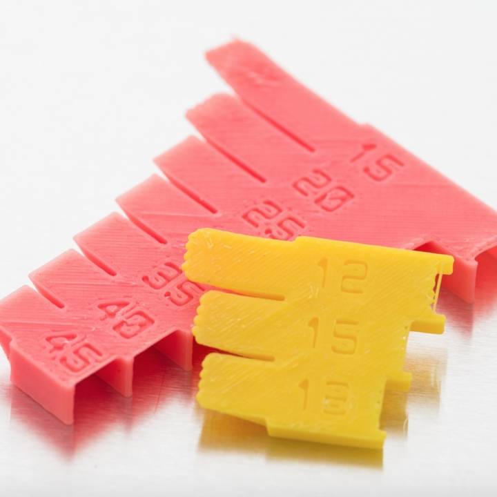 3D Printable Overhang Test Print (Customizable) by Walter Hsiao