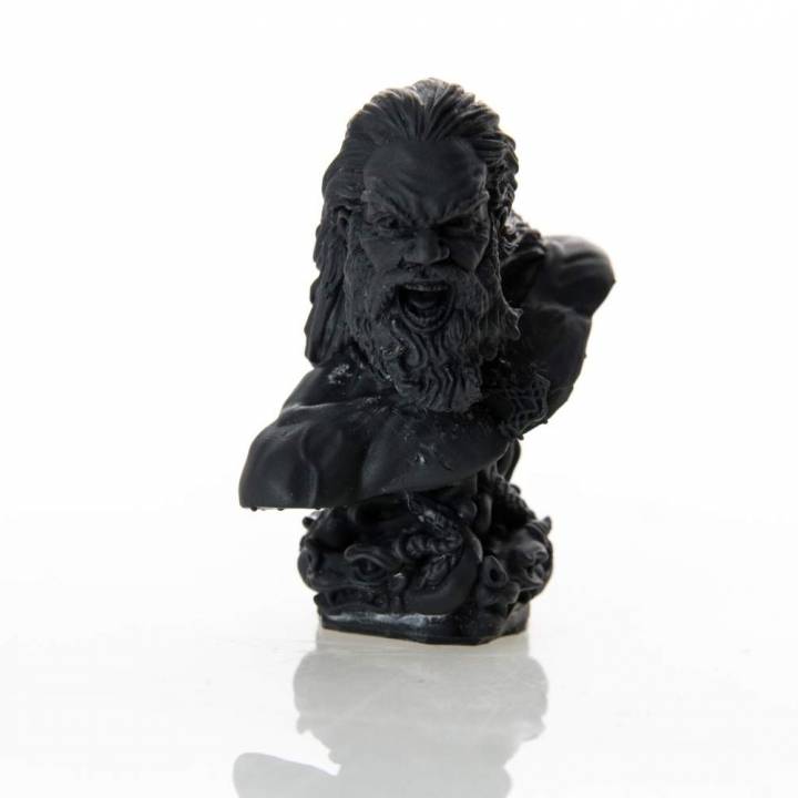 3D Printable Viking Bust by Printed Obsession