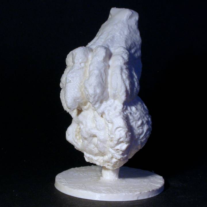 3D Printable A Severed Head at The Nye Carlsberg Glyptotek, Copenhagen ...