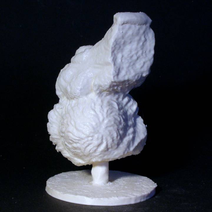 3D Printable A Severed Head at The Nye Carlsberg Glyptotek, Copenhagen ...