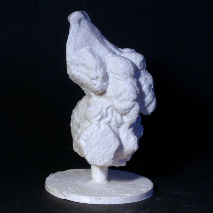 3D Printable A Severed Head at The Nye Carlsberg Glyptotek, Copenhagen ...