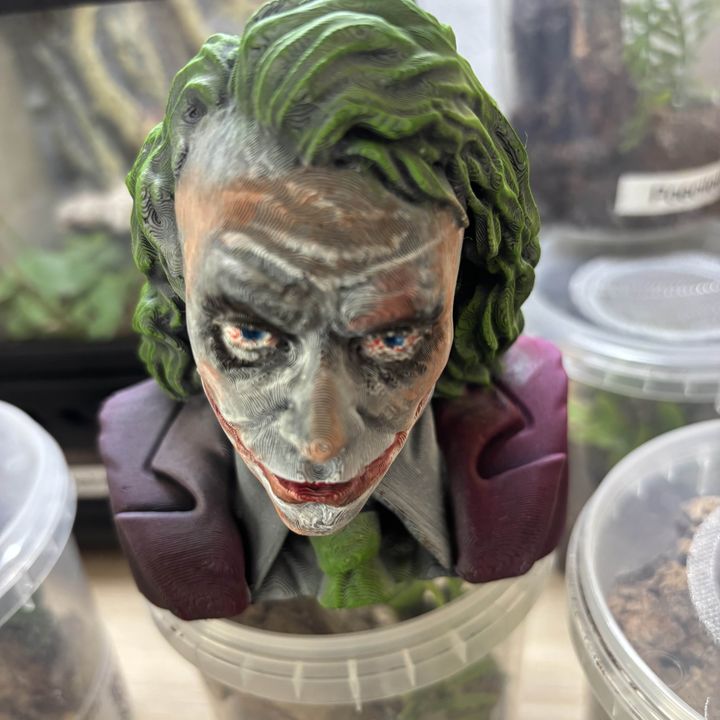 3D Print of The Joker - Heath Ledger - Bust by oliverkempf