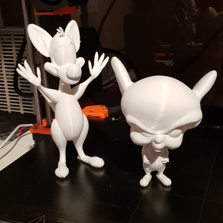 3D Print of Pinky and the Brain by achildrenmile