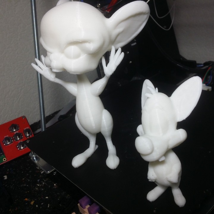3D Print of Pinky and the Brain by SmashHammer