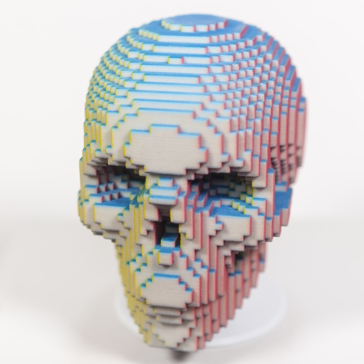 3D Printable Voxelized Skull by Devin Enrique Büchele de Montes 3D Printable Voxelized Skull by Devin Enrique Büchele de Montes