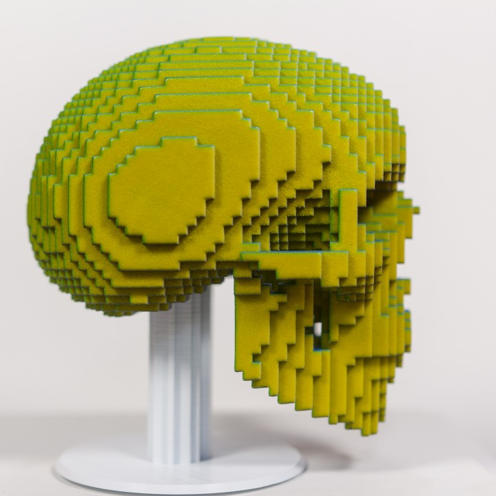 3D Printable Voxelized Skull by Devin Enrique Büchele de Montes 3D Printable Voxelized Skull by Devin Enrique Büchele de Montes