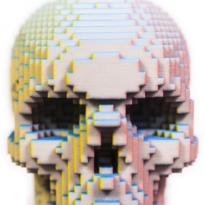 3D Printable Voxelized Skull by Devin Enrique Büchele de Montes 3D Printable Voxelized Skull by Devin Enrique Büchele de Montes