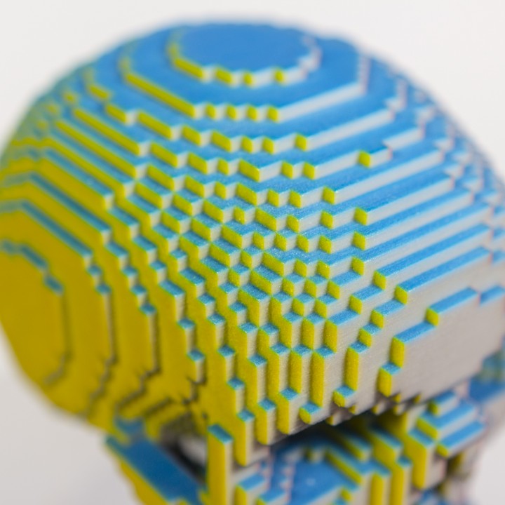 3D Printable Voxelized Skull by Devin Enrique Büchele de Montes