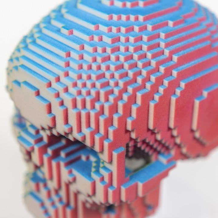 3D Printable Voxelized Skull by Devin Enrique Büchele de Montes 3D Printable Voxelized Skull by Devin Enrique Büchele de Montes