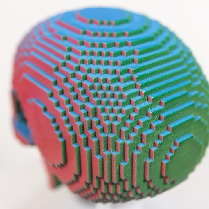 3D Printable Voxelized Skull by Devin Enrique Büchele de Montes 3D Printable Voxelized Skull by Devin Enrique Büchele de Montes