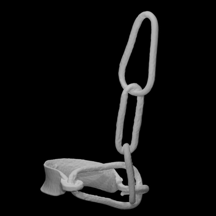 3D Printable Leg Slave Shackle Portion by Virtual Curation Lab