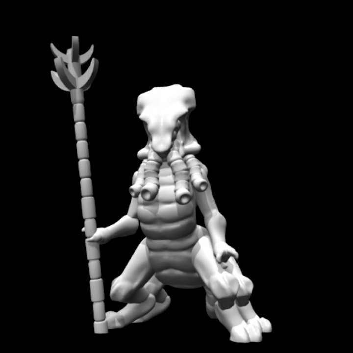 3D Printable Mystic Alien (28mm/Heroic scale) by Arian Croft