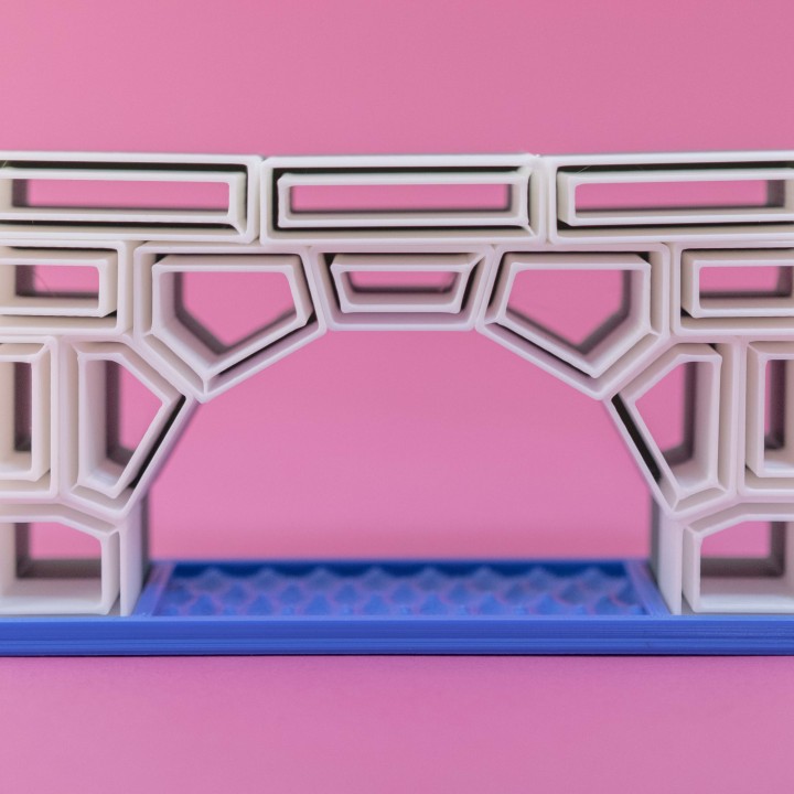 3D Printable Arch Builder Puzzle Blocks by Devin Enrique Büchele de Montes