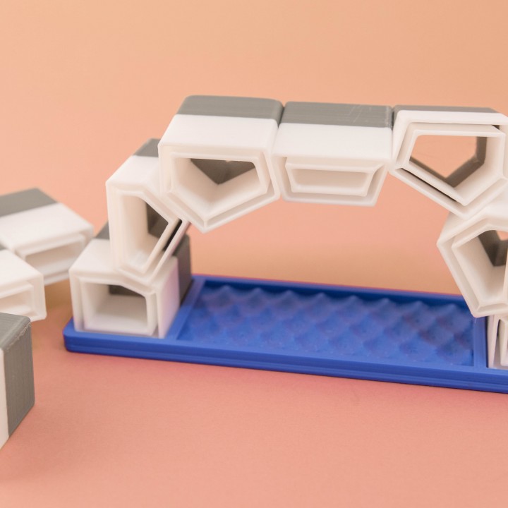 3D Printable Arch Builder Puzzle Blocks by Devin Enrique Büchele de Montes