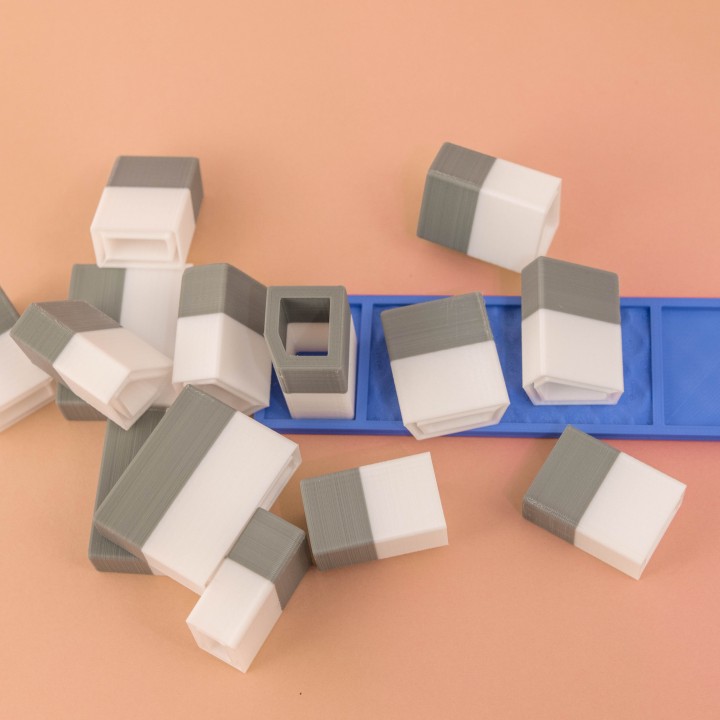 3D Printable Arch Builder Puzzle Blocks by Devin Enrique Büchele de Montes