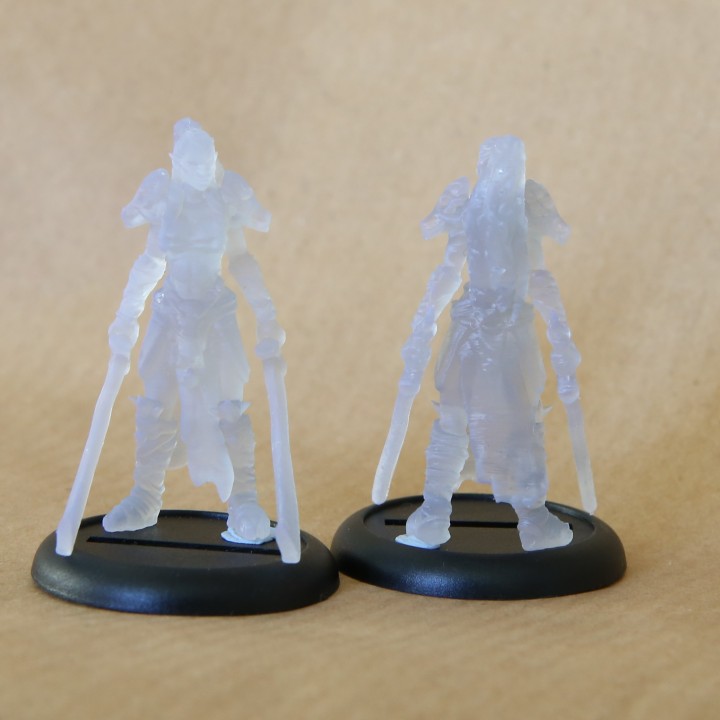 3D Print of Two Blade - Female Orc Commander - PRE SUPPORTED - 32 mm ...