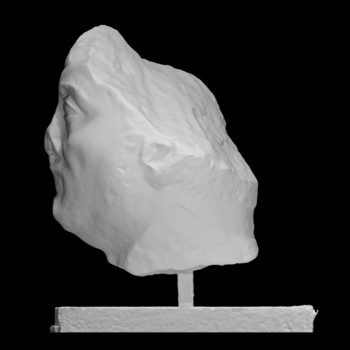 3D Printable Portrait of Emperor Balbin by Marchal Geoffrey