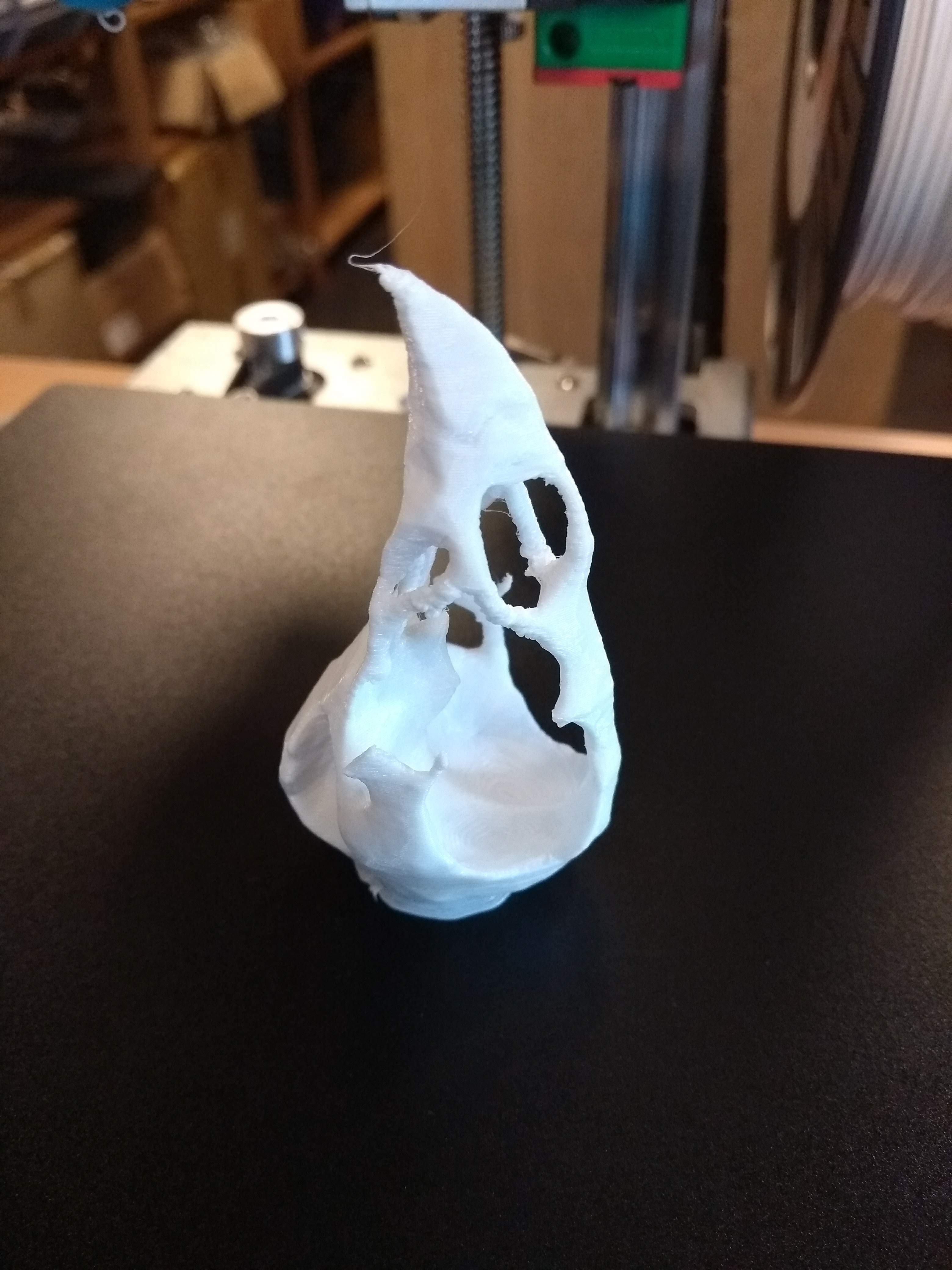 3D Printable Chicken Skull by Devin Enrique Büchele de Montes