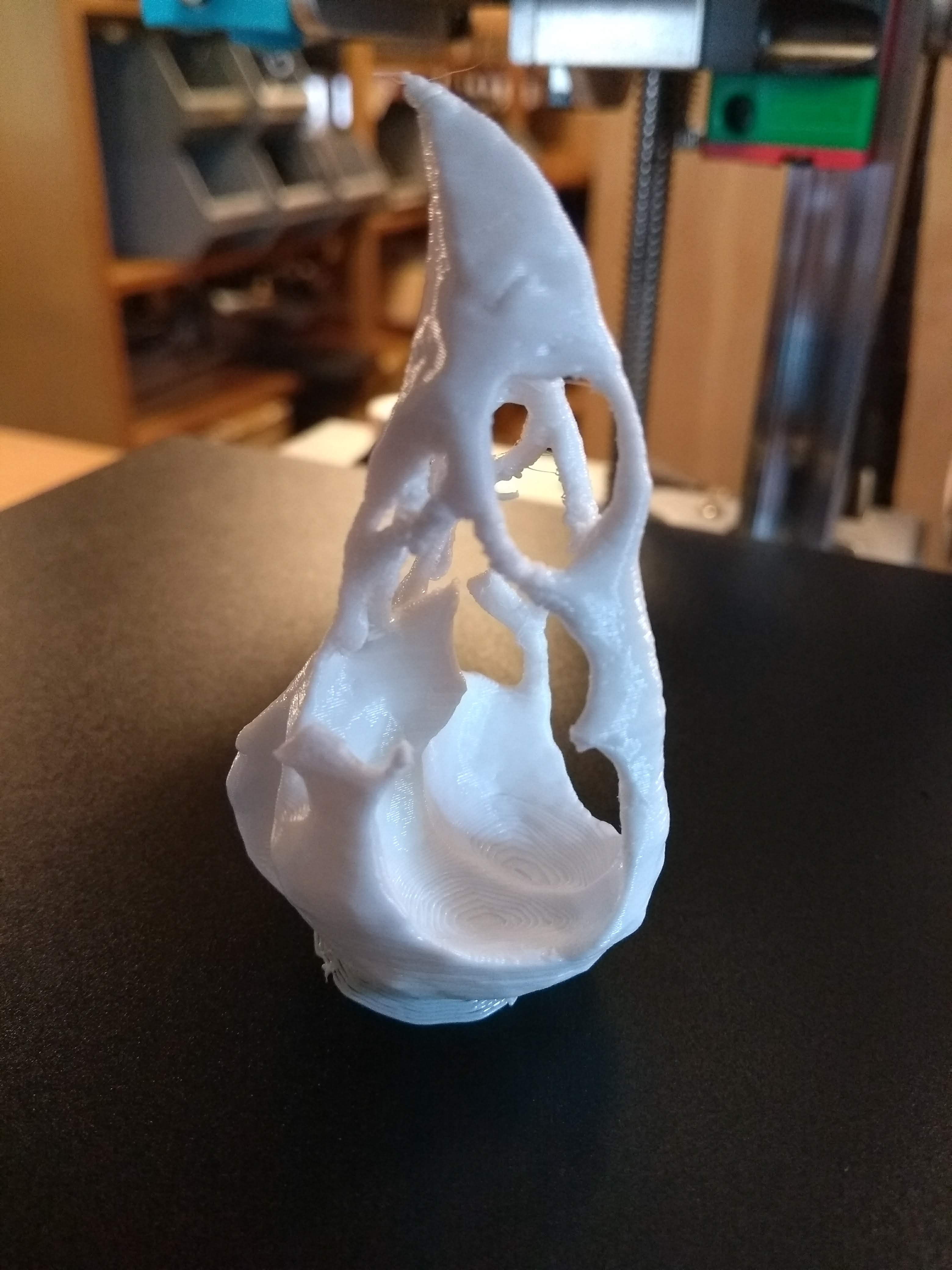 3D Printable Chicken Skull by Devin Enrique Büchele de Montes