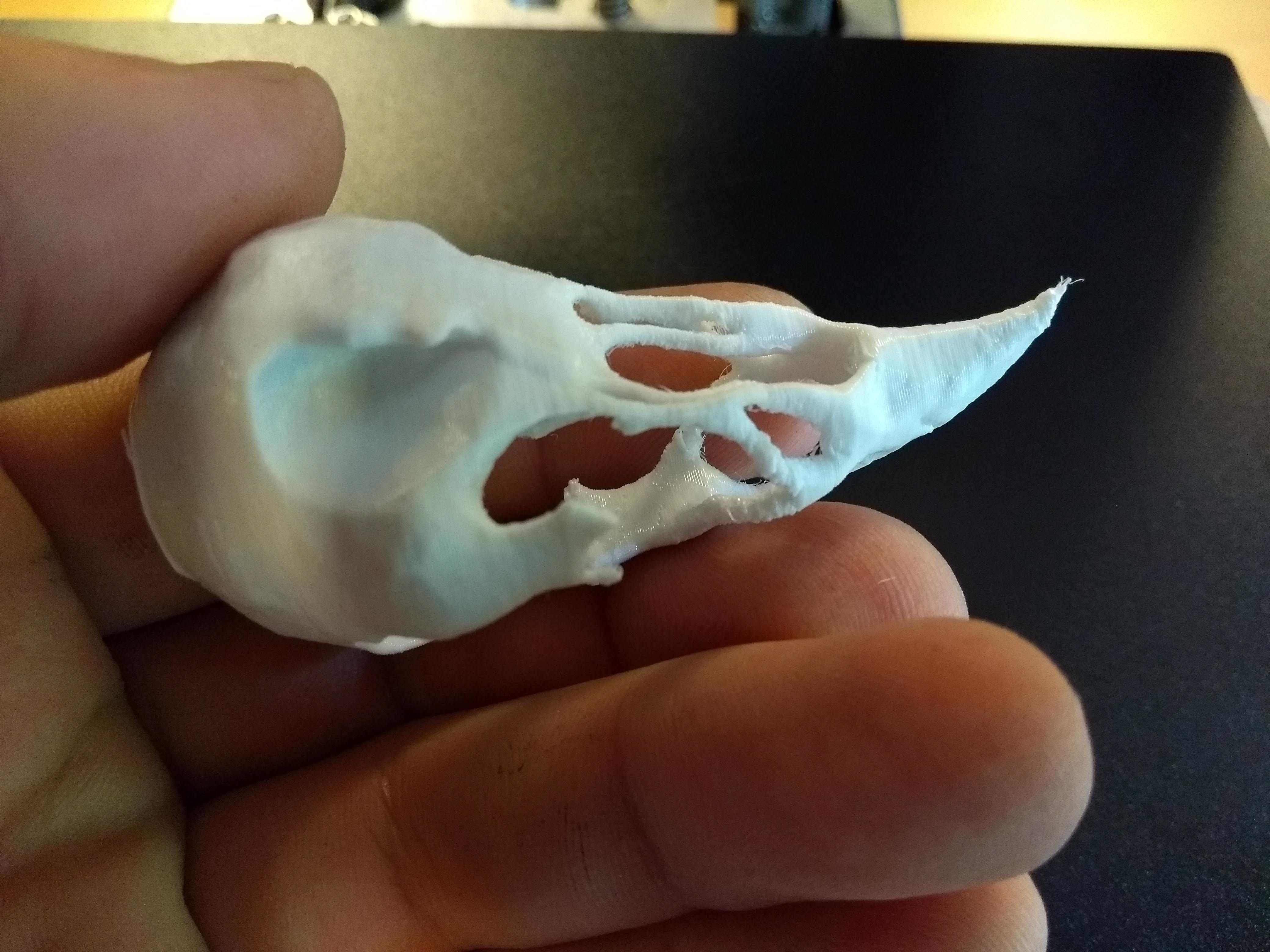 3D Printable Chicken Skull by Devin Enrique Büchele de Montes