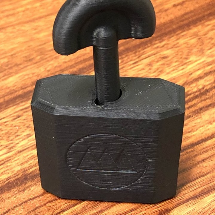 3D Print of Lockpick Puzzle 01 by Rubberlunchbox