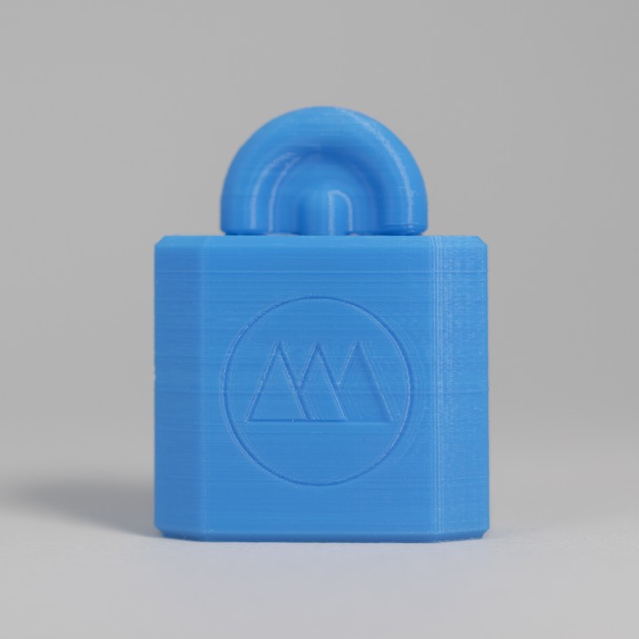 3D Printable Lockpick Puzzle 02 by Devin Enrique Büchele de Montes