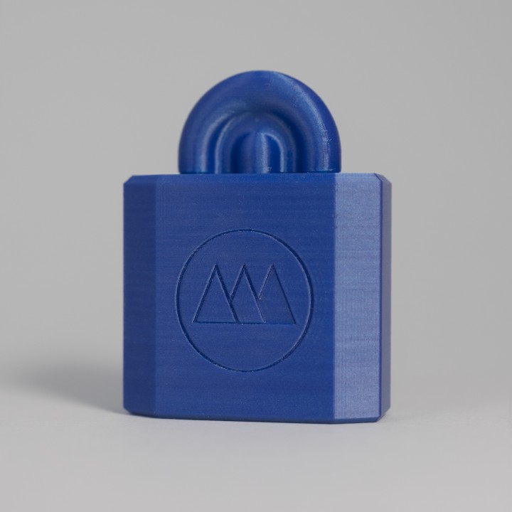 3D Printable Lockpick Puzzle 09 by Devin Enrique Büchele de Montes
