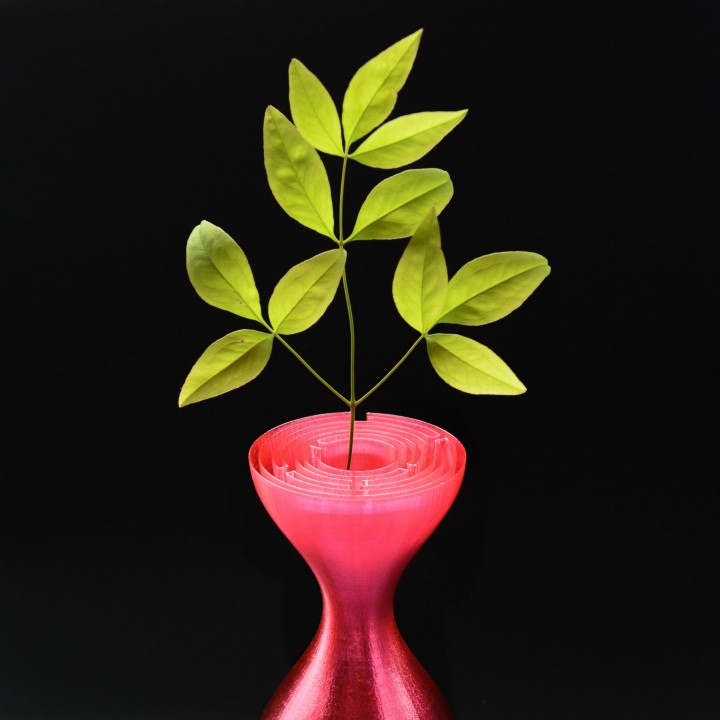 3D Printable Hourglass Maze Vase by Clockspring