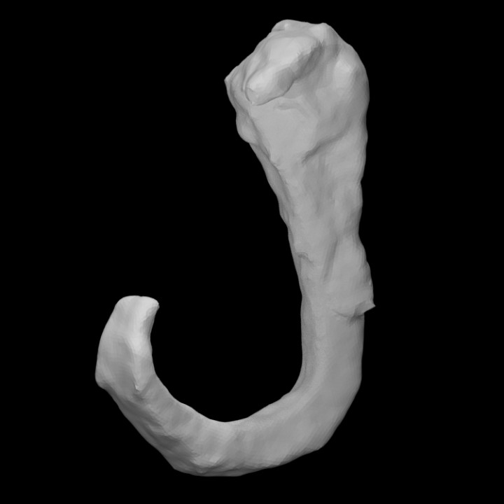 3D Printable Cut Nail by Virtual Curation Lab