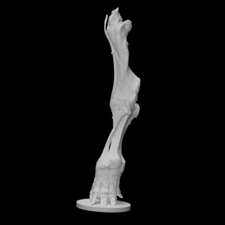 3D Printable Mastodon Left Front Leg W. Stand by Virtual Curation Lab