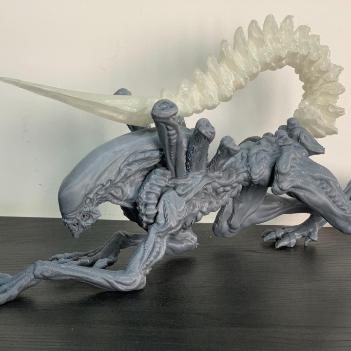 3D Print of Alien - Xenomorph - Full Figure - 25 CM by bryanmorales