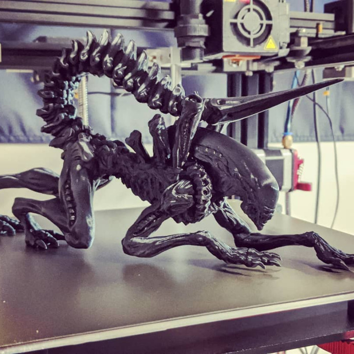 3D Print of Alien - Xenomorph - Full Figure - 25 CM by kurtlocker