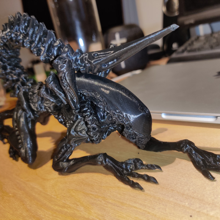 3D Print of Alien - Xenomorph - Full Figure - 25 CM Da miguellopezlaguna