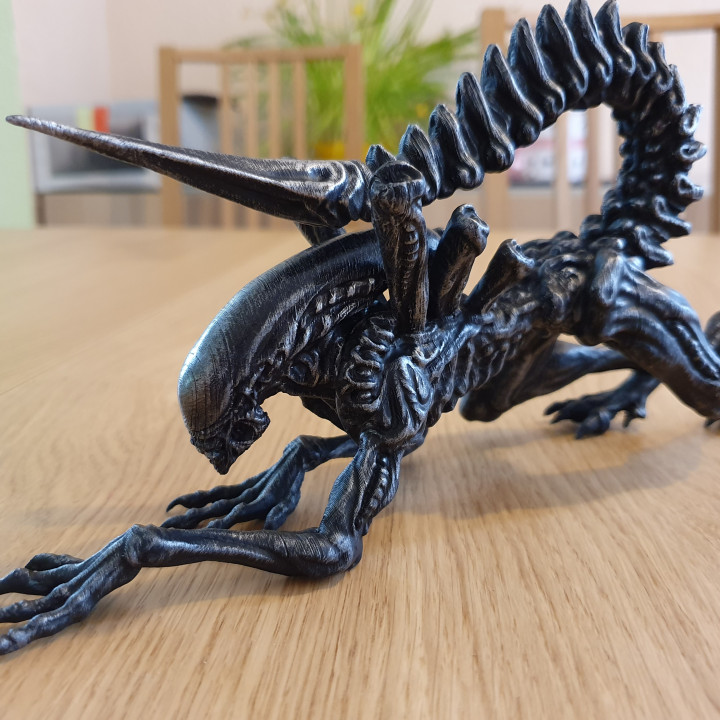 3D Print of Alien - Xenomorph - Full Figure - 25 CM by dawidrychter