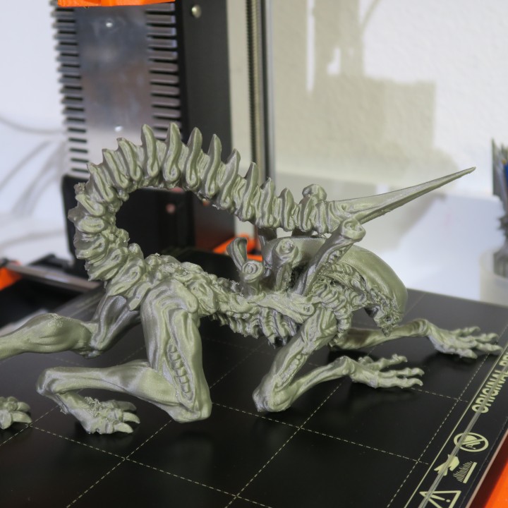 3D Print of Alien - Xenomorph - Full Figure - 25 CM by RickyBurnett