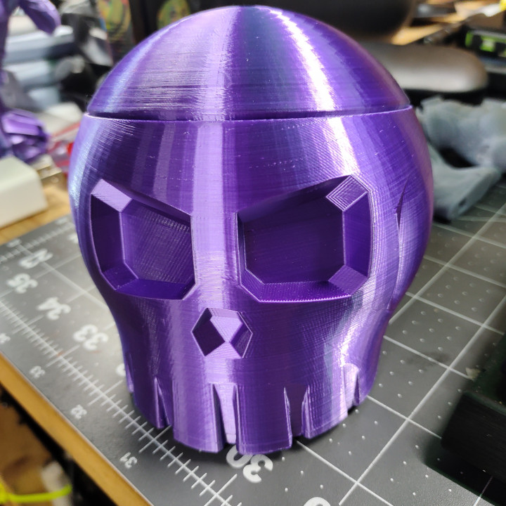 3D Print of Skull Box with Cranial Lid by Sash7818