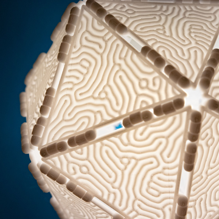 3D Printable Polypanels // Coral Lithophane (Reaction Diffusion ...