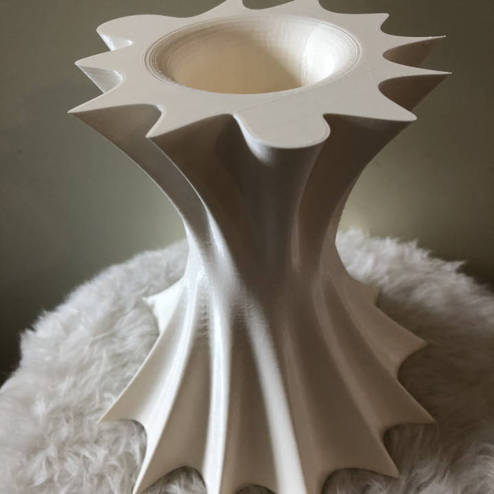 3D Printable Reversible vase by raimonvibe