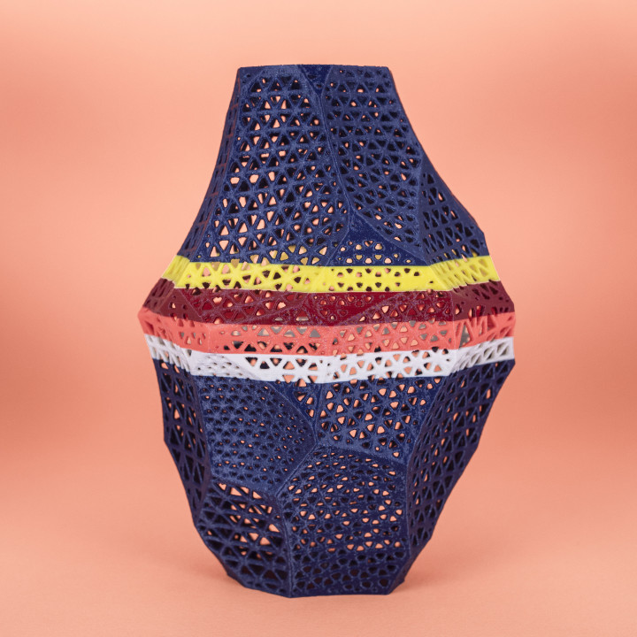 3D Printable Wireframe Flint Vase by Devin Enrique Büchele de Montes