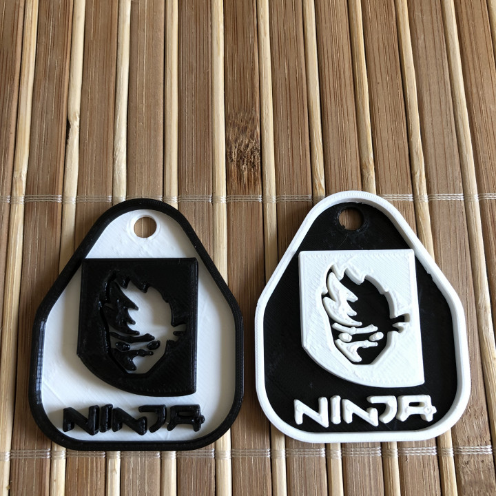 3D Printable Ninja Keychain (single extruder) by Raimon Baudoin