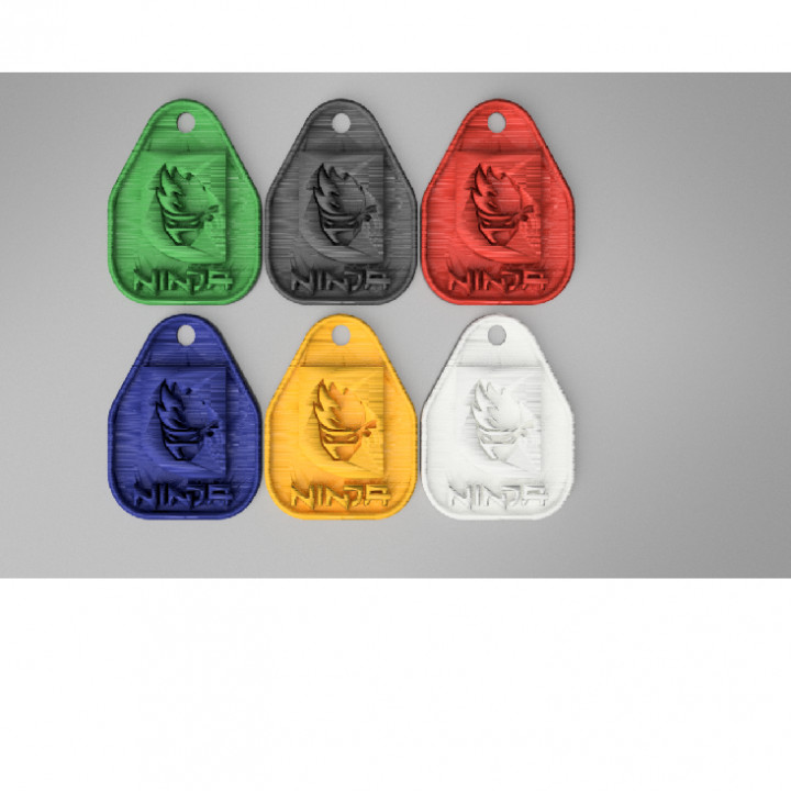 3D Printable Ninja Keychain (single extruder) by Raimon Baudoin