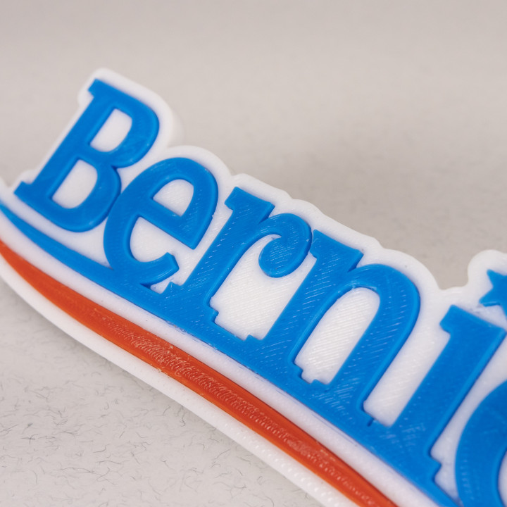 3D Printable Bernie 2020 Logo Fridge Magnet 6" by Devin Enrique Büchele ...