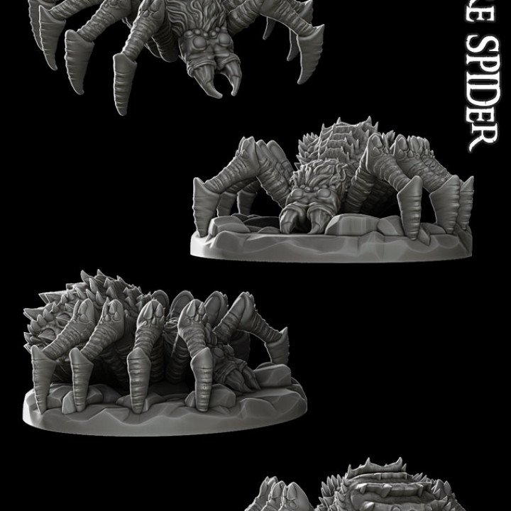 3D Printable Dire Spider by RocketPigGames