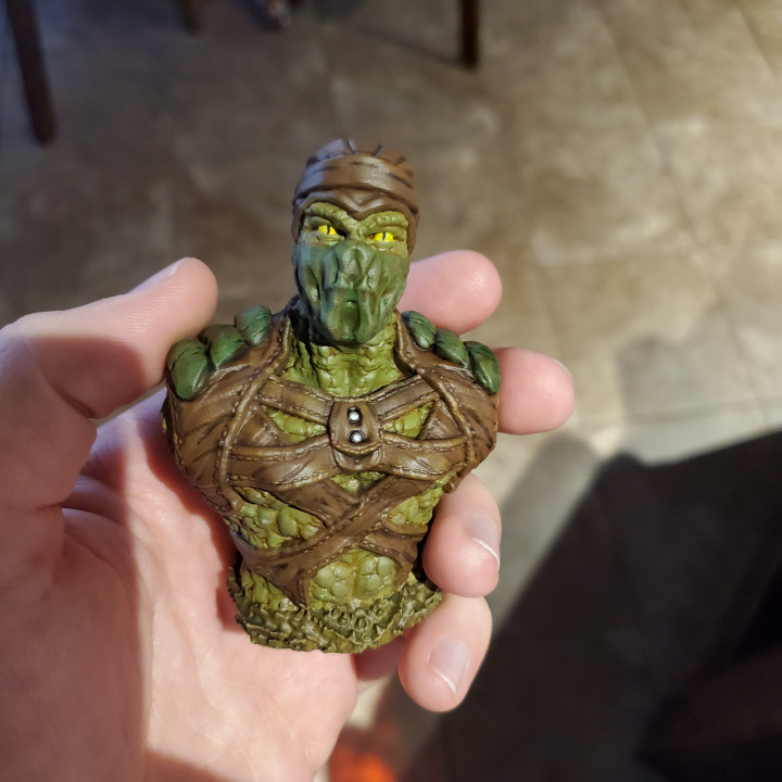 3D Print of Reptile Ninja - Support free bust by justinds89