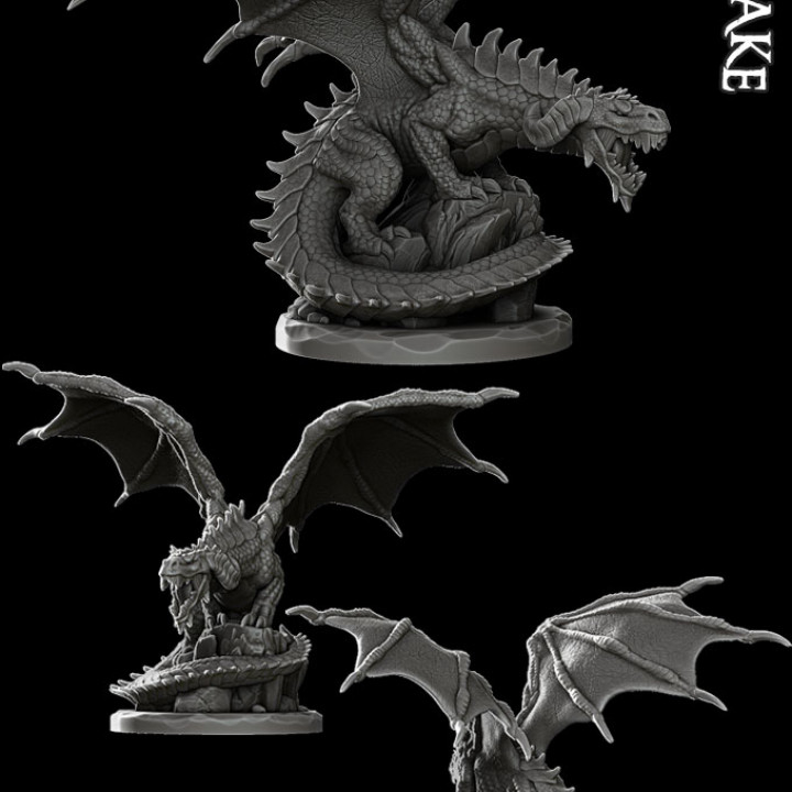 3D Printable Drake by RocketPigGames