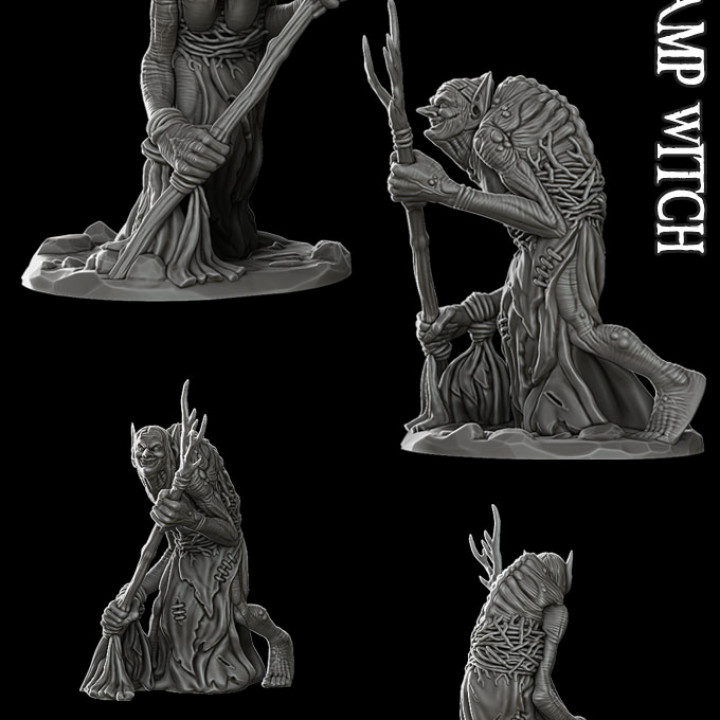 3D Printable Swamp Witch by RocketPigGames