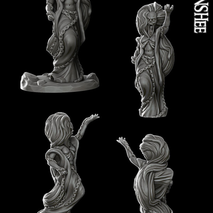 3D Printable Banshee by RocketPigGames