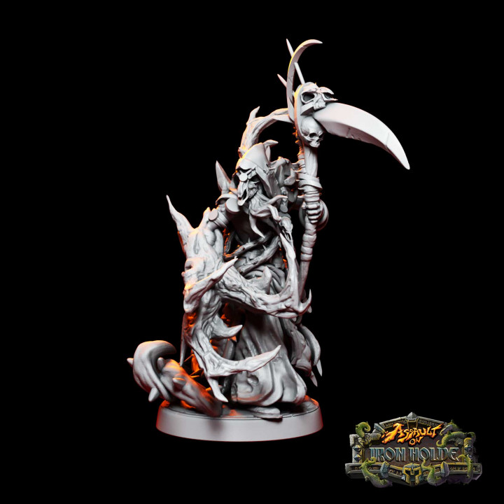 3D Printable Ashley Donovan Enois-Blight Druid by Hack N Slash Minis