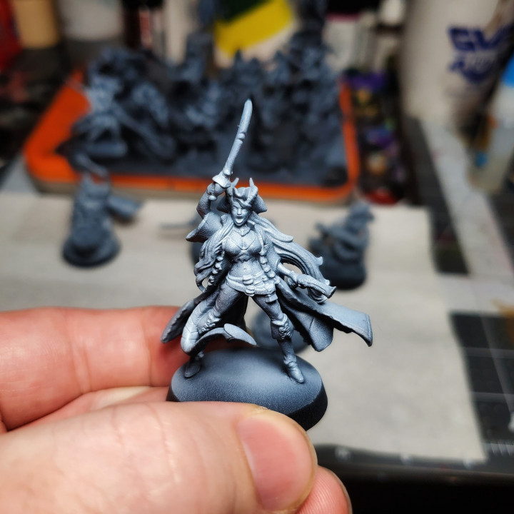 3D Printable Zassaryah Wave Slasher, Half Demon 1st Mate by Heroes Infinite