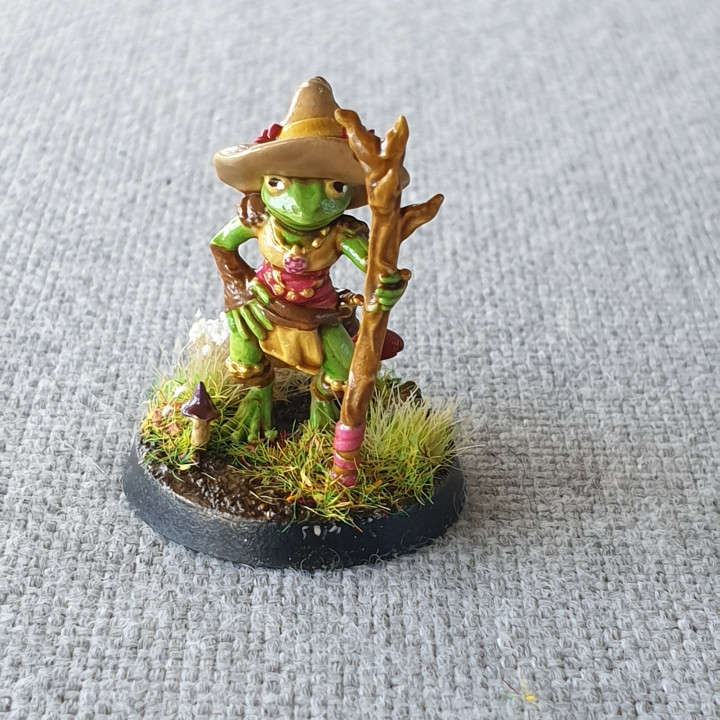 3D Print of Frogfolk girl mage by EllieTimbers
